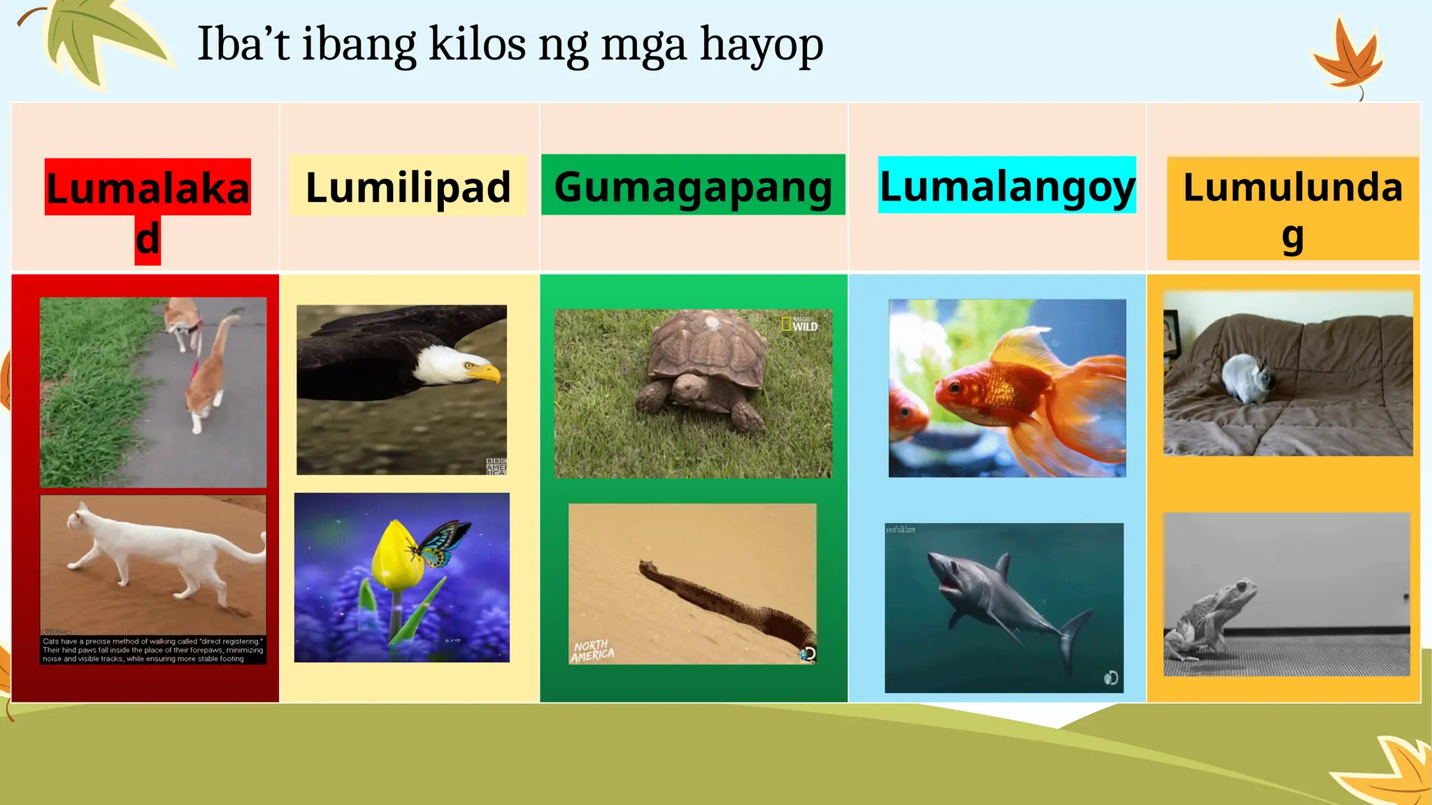 Kilos ng Hayop COT2.pptx for kindergarten | PPTX