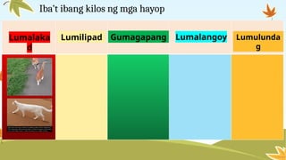 Kilos ng Hayop COT2.pptx for kindergarten | PPTX