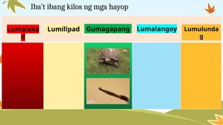 Kilos ng Hayop COT2.pptx for kindergarten | PPT