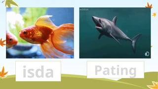 Kilos ng Hayop COT2.pptx for kindergarten | PPT