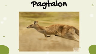 KILOS O GALAW NG HAYOP kindergarten .pptx