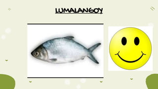 KILOS O GALAW NG HAYOP kindergarten .pptx