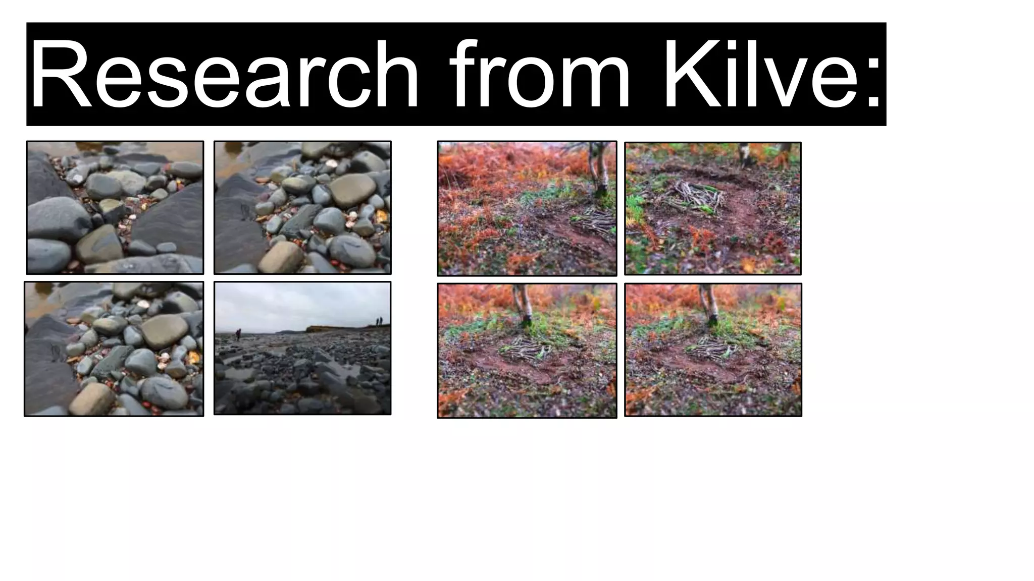 Interim Review, Kilve Project | PPT