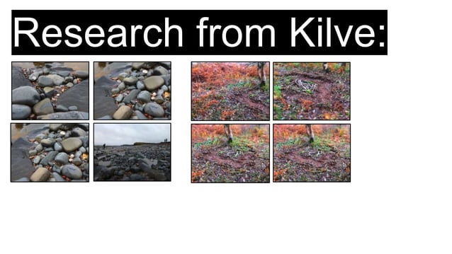 Interim Review, Kilve Project | PPTX