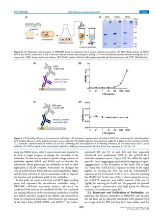 kim-et-al-2022-generation-of-recombinant-antibodies-in-hek293f-cells ...