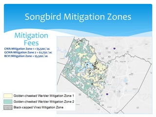 BCCP Mitigation Program | PDF