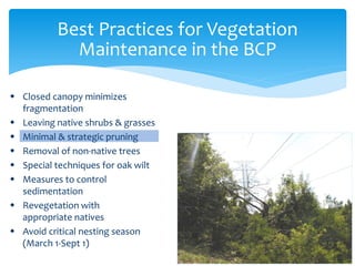 BCCP Mitigation Program | PDF