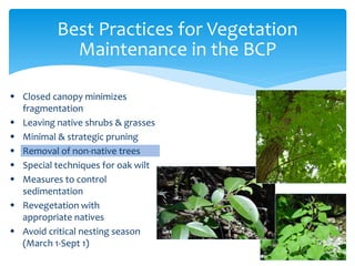 BCCP Mitigation Program | PDF