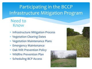 BCCP Mitigation Program | PDF