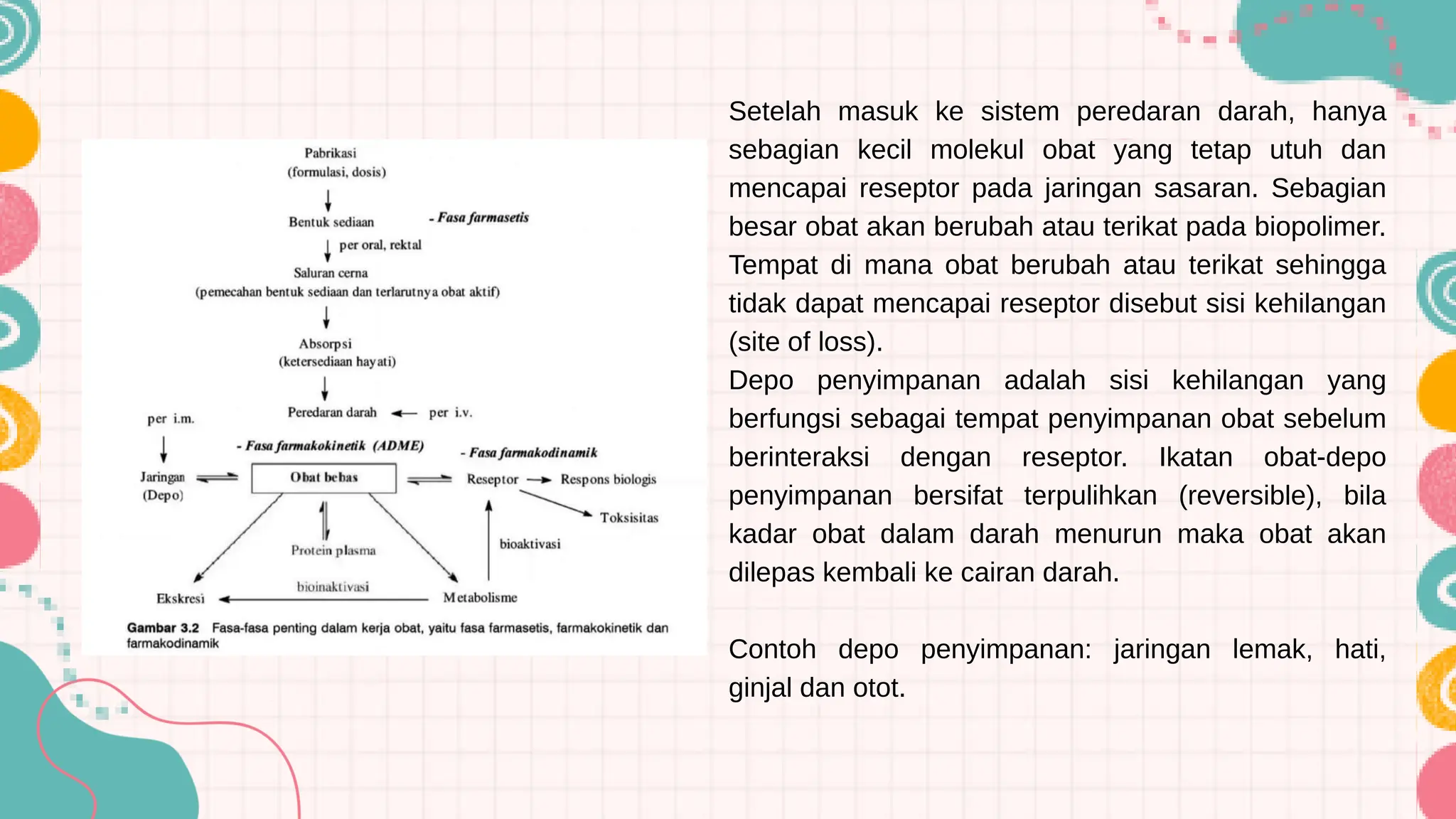 KIMED 1_KEL.6_HUBUNGAN STRUKTUR SIFAT KIMIA, FISIKA DENGAN ABSORPSI ...