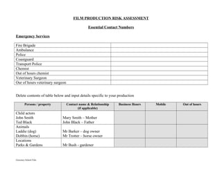 Film Production Risk Assessment Form | DOC