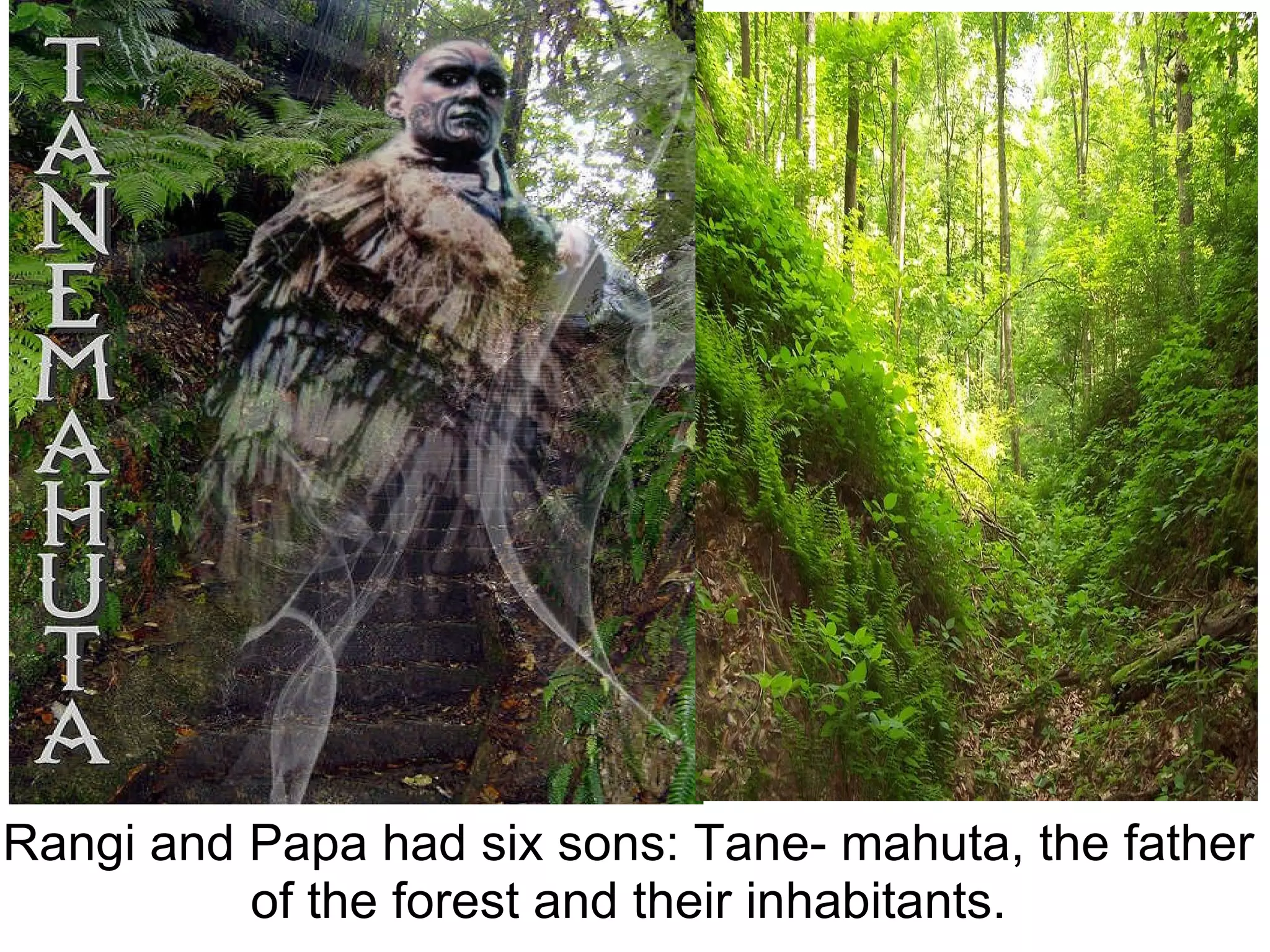 Contemporary Traditional Maori Culture, part 2 | ODP | Religion ...