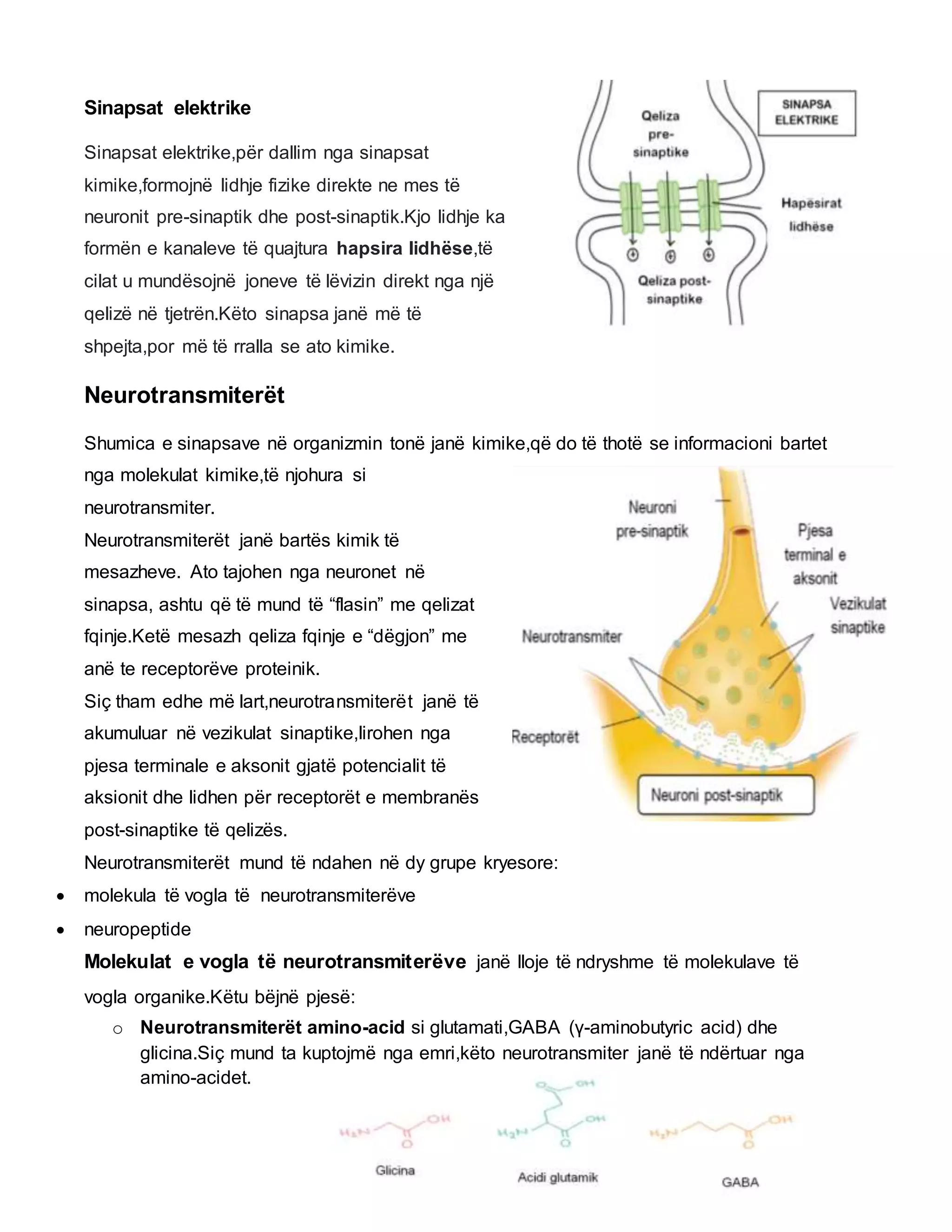 Sinapsat dhe neurotransmiterët | DOCX