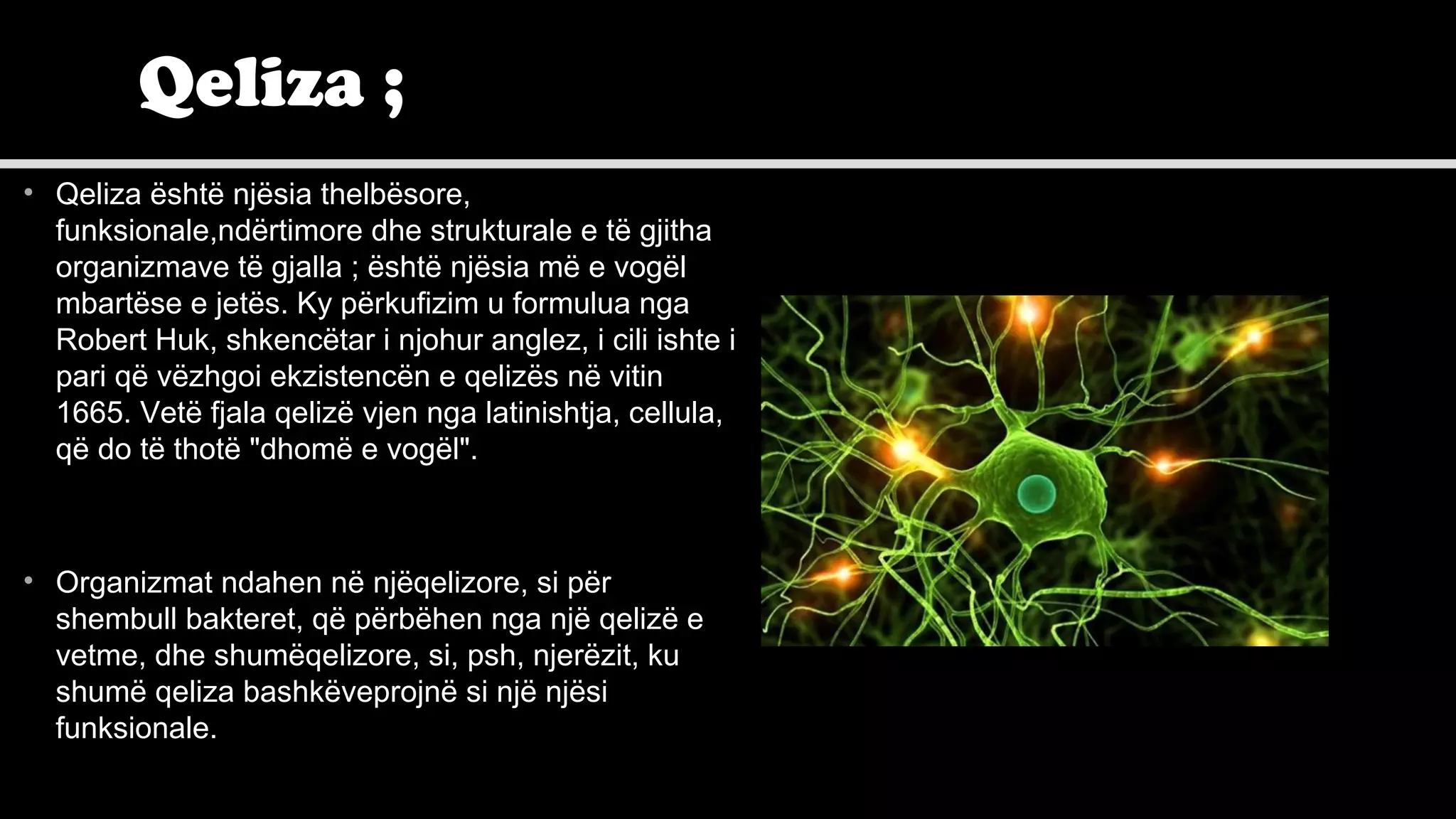 Kimia-Qeliza Shtazore | PPT