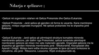 Kimia-Qeliza Shtazore | PPT