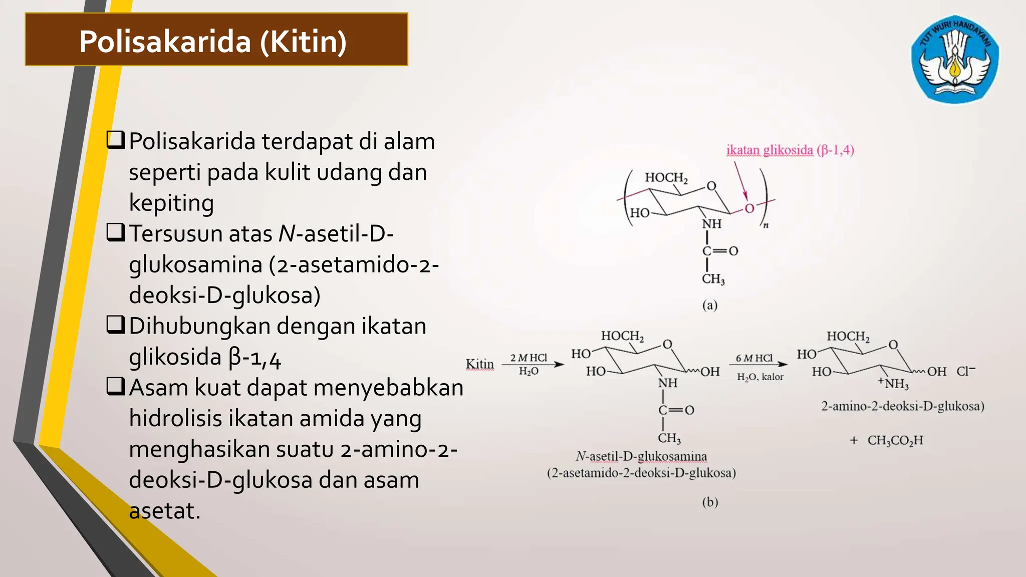 Kimia_06KB3_Biomolekul dan Polimer kelas 12.pptx