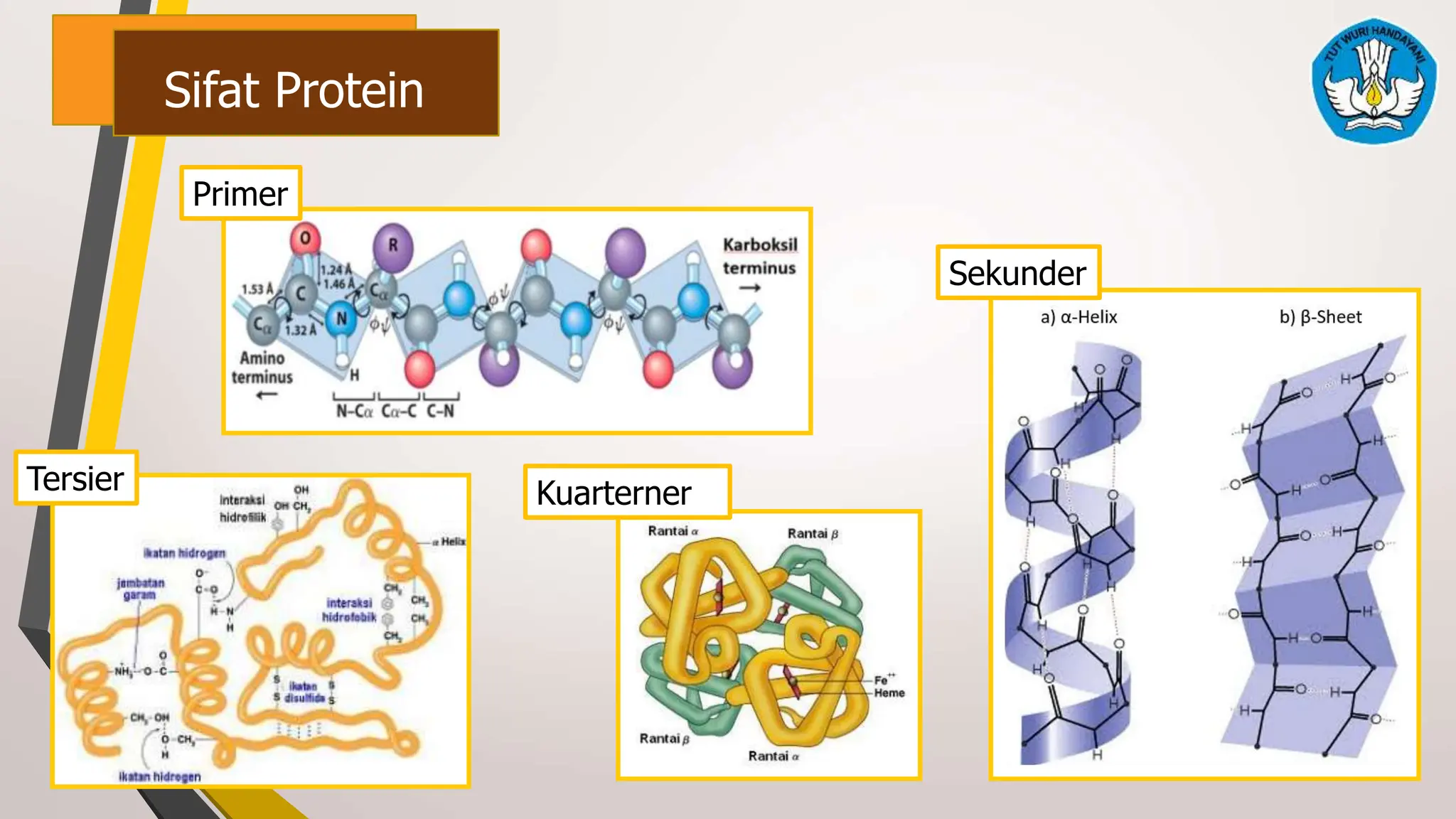 Kimia_06KB3_Biomolekul dan Polimer kelas 12.pptx
