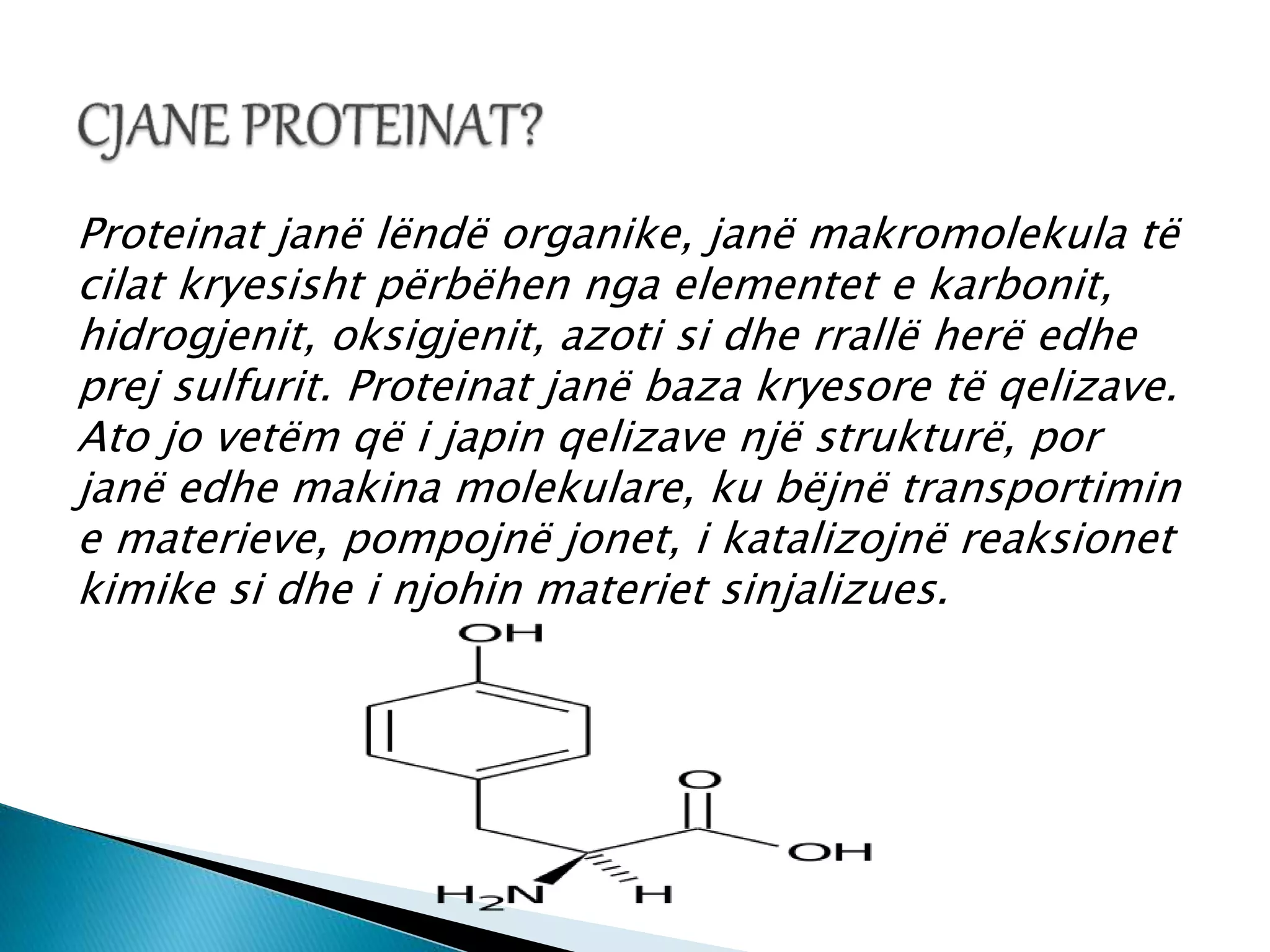 RENDESIA E PERBERJEVE ORGANIKE NE JETEN E PERDITSHME | PPTX