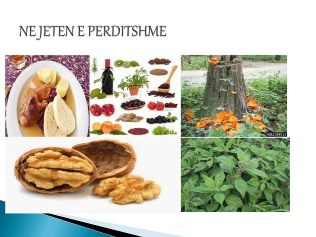 RENDESIA E PERBERJEVE ORGANIKE NE JETEN E PERDITSHME | PPTX