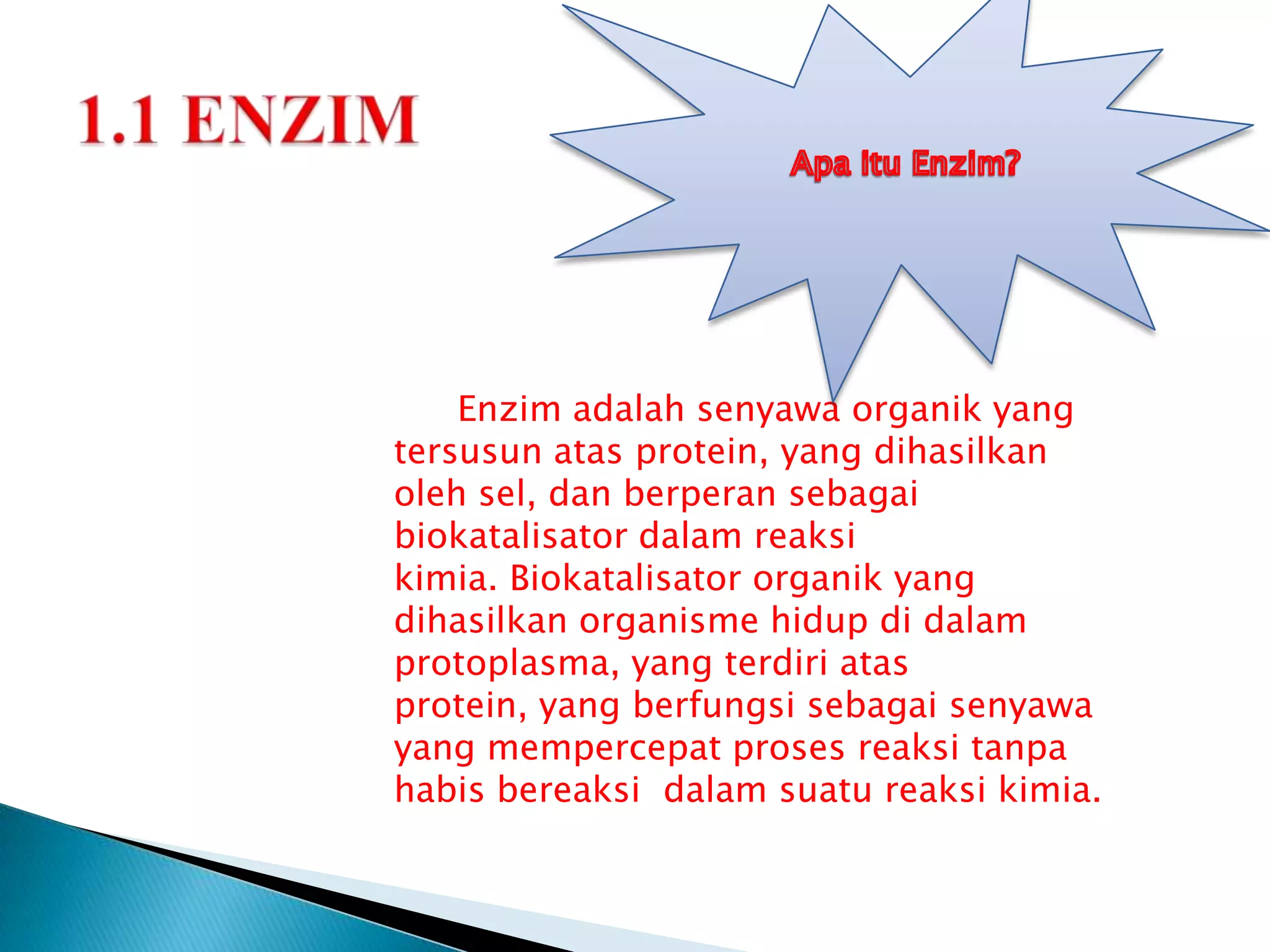 Kimia bahan makanan yang lebih lengkap "ENZIM" | PPT