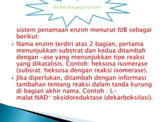 Kimia bahan makanan yang lebih lengkap "ENZIM" | PPT