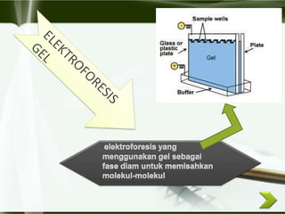 ELEKTROFORESIS DAN DIALISIS | PPTX