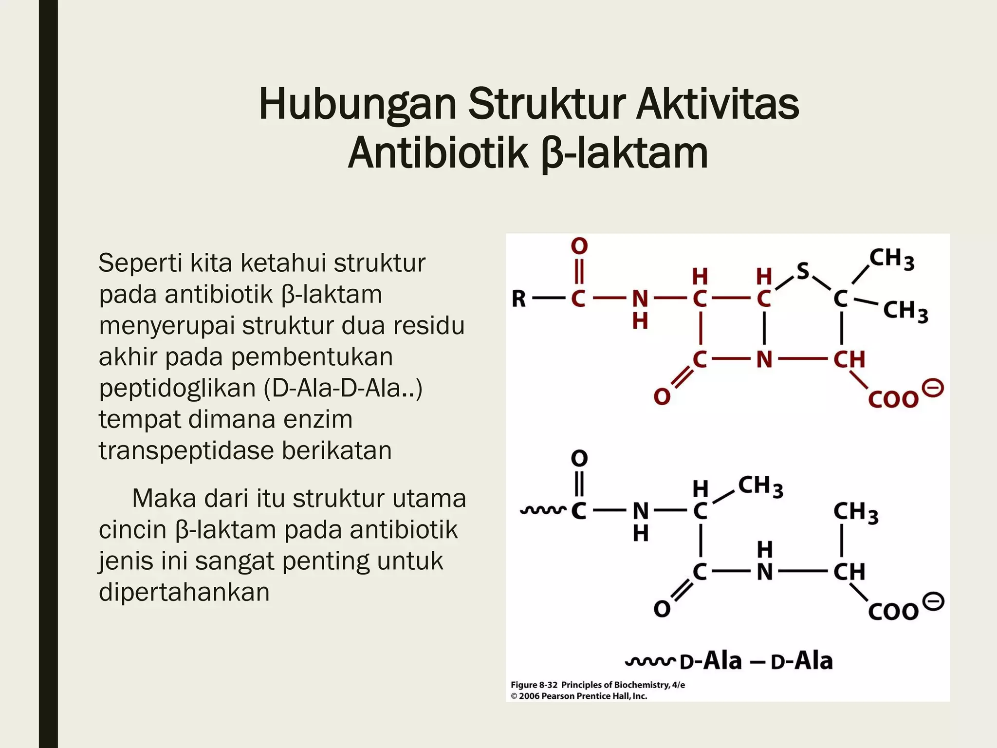 Antibiotik beta Laktam dan Makrolida - Kimia Farmasi 1 | PDF