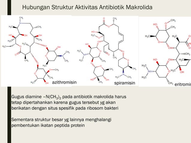 Antibiotik beta Laktam dan Makrolida - Kimia Farmasi 1 | PPT