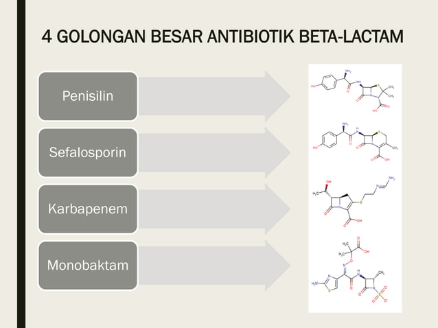Antibiotik beta Laktam dan Makrolida - Kimia Farmasi 1 | PDF