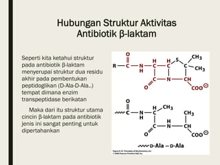 Antibiotik beta Laktam dan Makrolida - Kimia Farmasi 1 | PDF