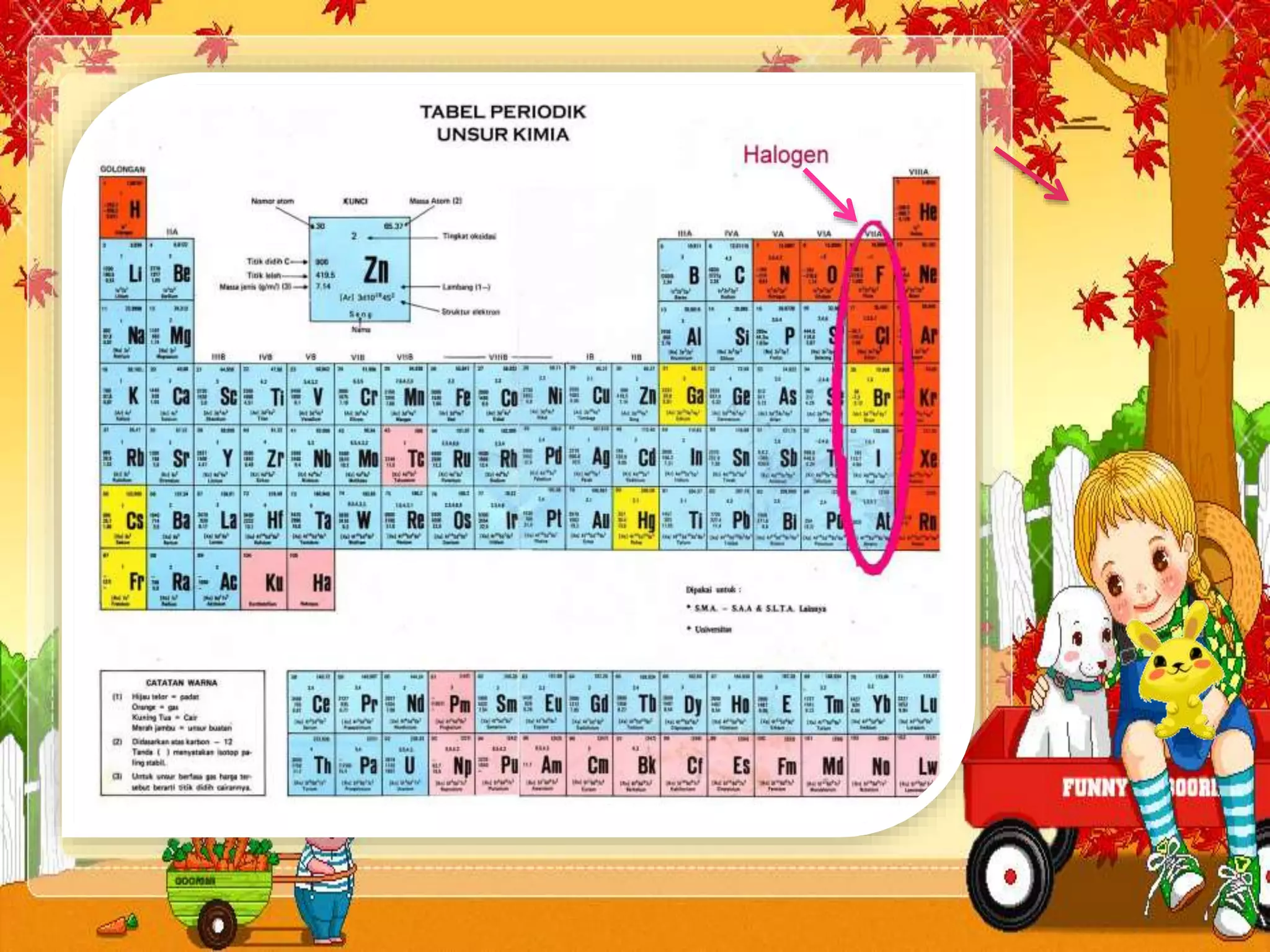 SlideShare Unsur Kimia Halogen | PPTX
