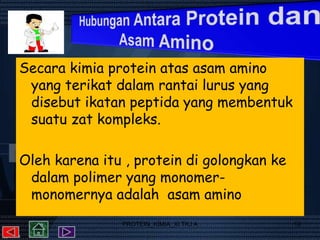 Protein | PPTX