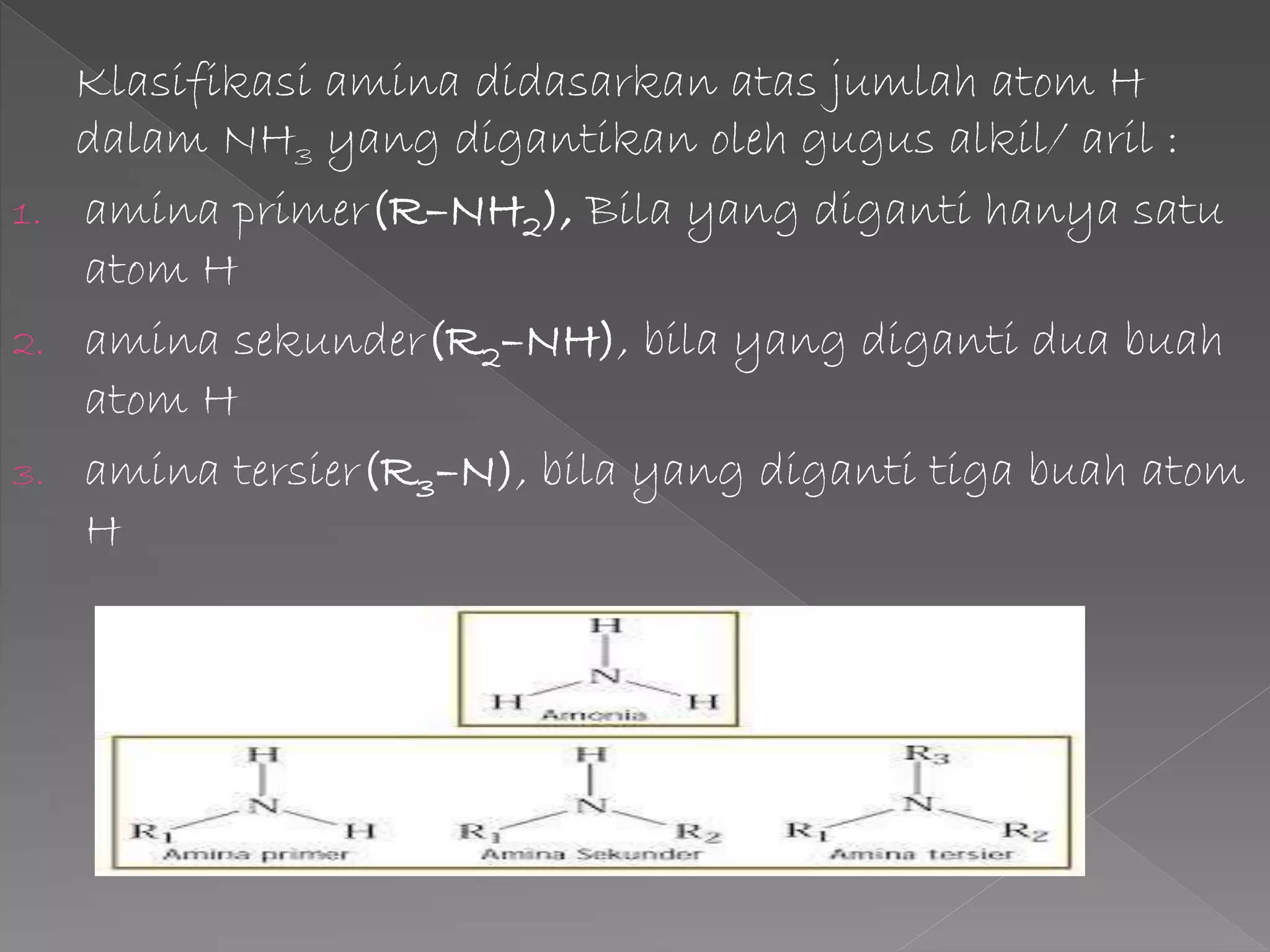amina & amida | PPTX