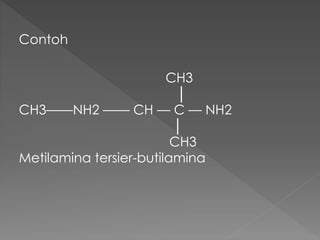 amina & amida | PPTX