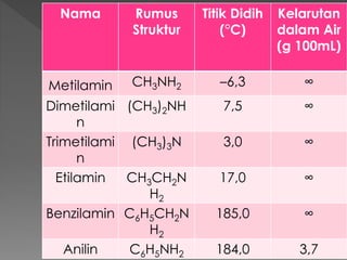 amina & amida | PPTX