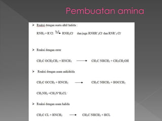 amina & amida | PPTX