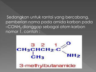 amina & amida | PPTX