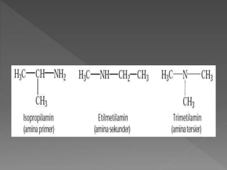 amina & amida | PPTX