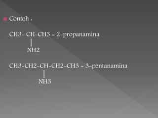 amina & amida | PPTX