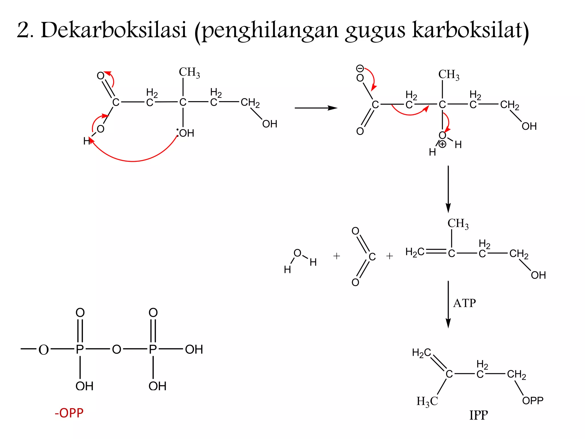 mekanisme pembentukan terpen/steroid | PPTX