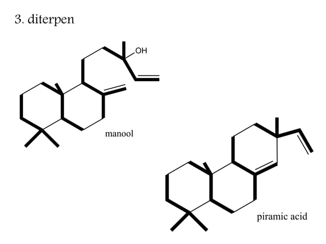 mekanisme pembentukan terpen/steroid | PPTX