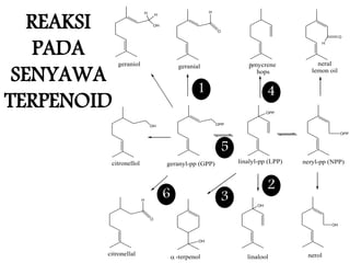 mekanisme pembentukan terpen/steroid | PPTX