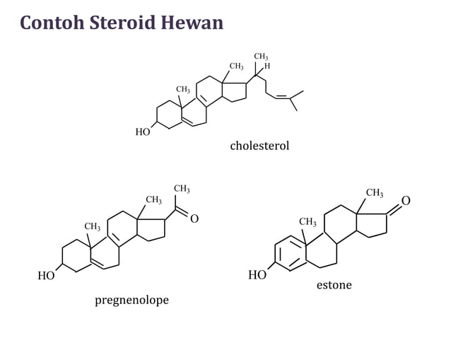 mekanisme pembentukan terpen/steroid | PPTX