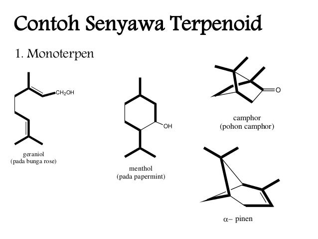 mekanisme pembentukan terpen/steroid