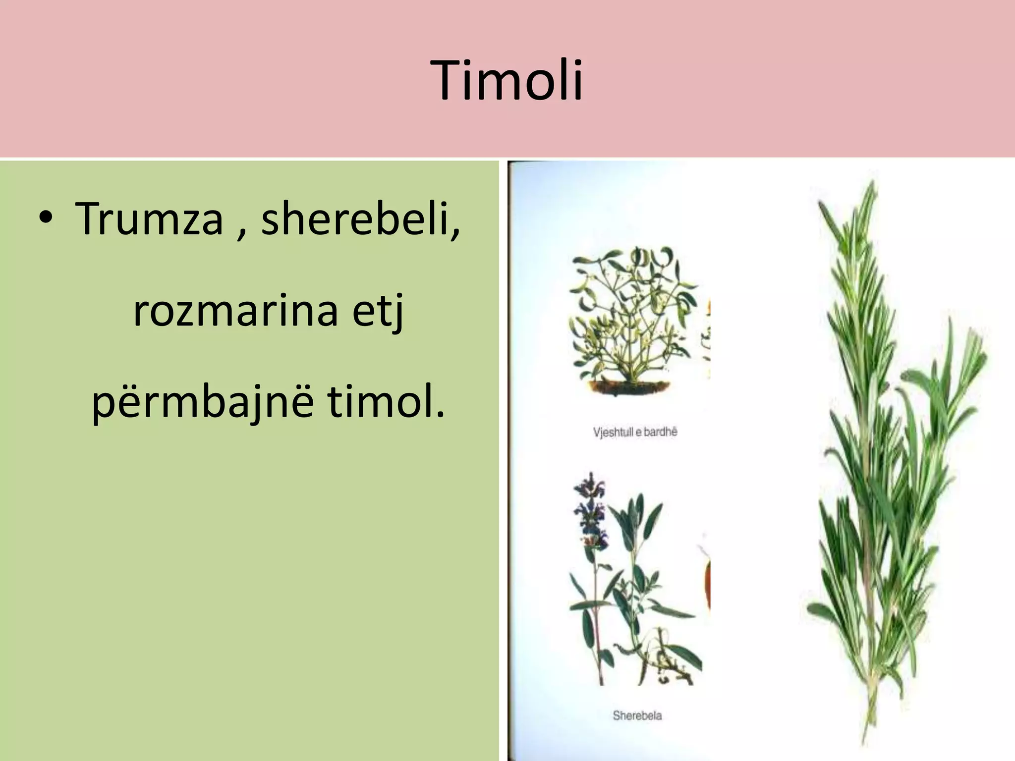 Kimia organike ne jeten e perditshme | PPTX