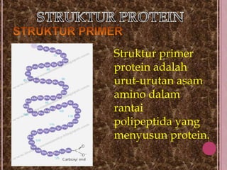 Power Point Protein | PPTX