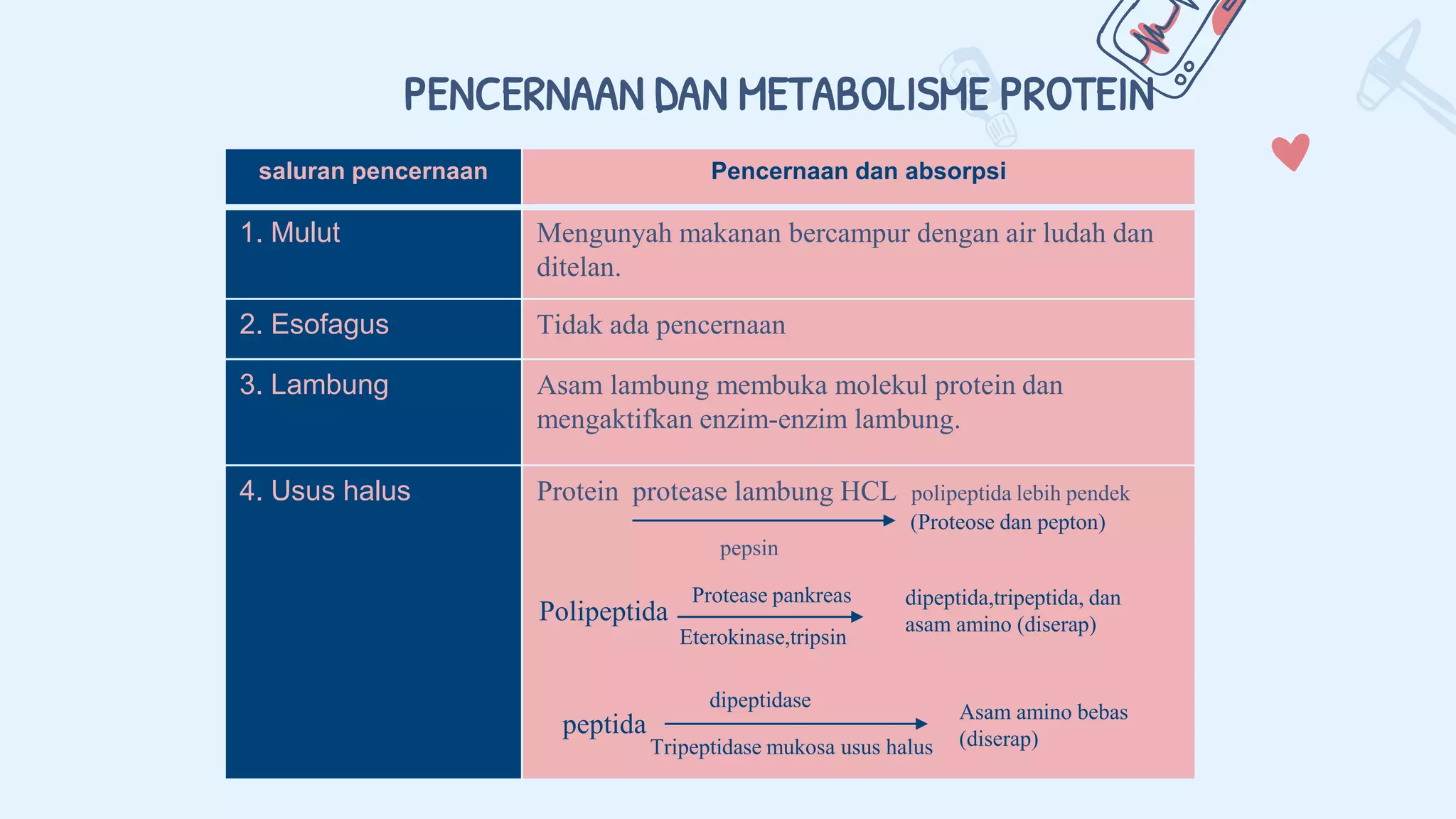 KIMIA_Protein_Cici Awarti_1A.pptx