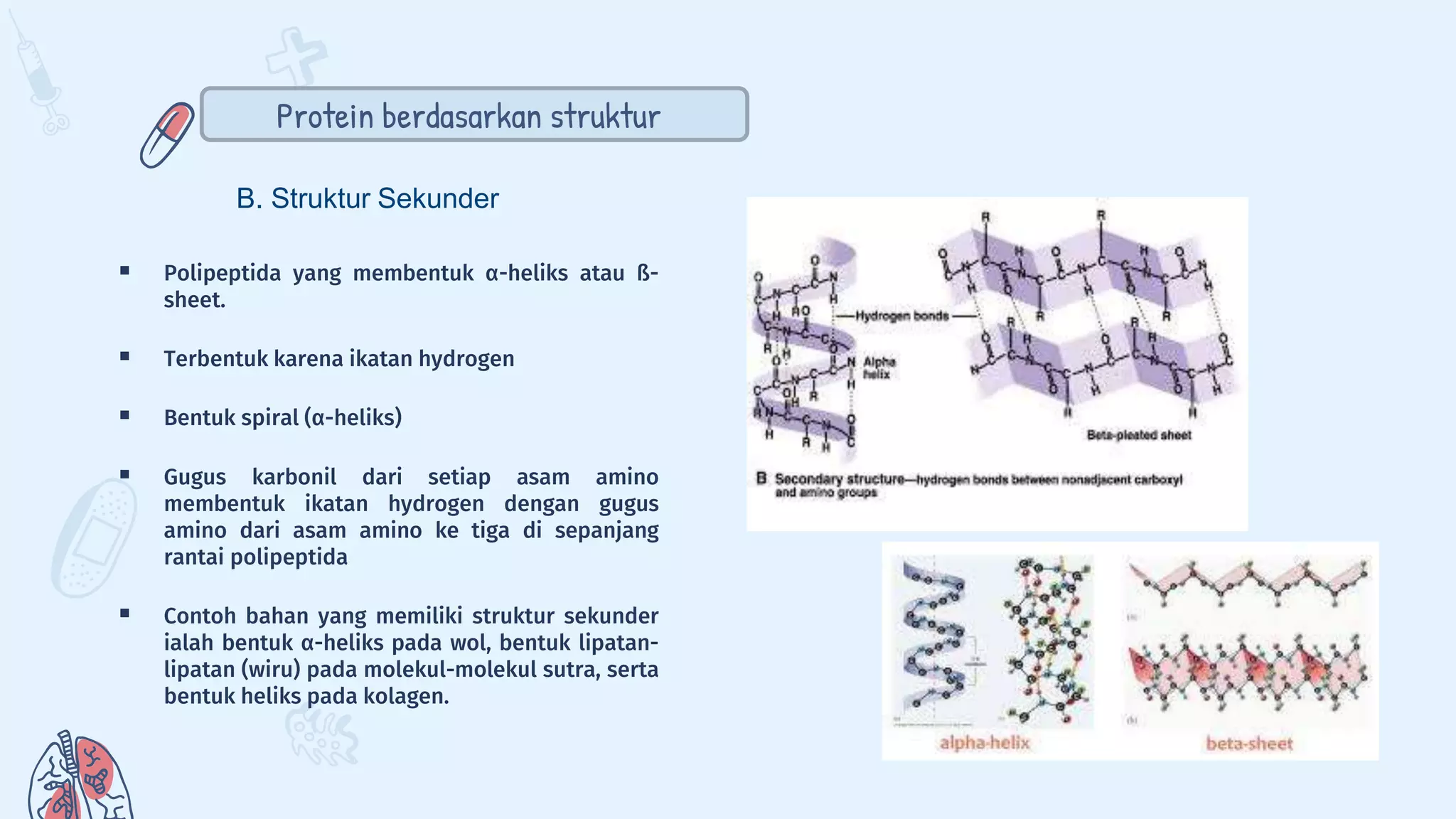KIMIA_Protein_Cici Awarti_1A.pptx