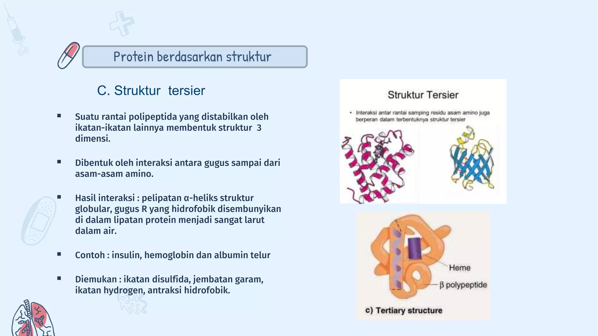 KIMIA_Protein_Cici Awarti_1A.pptx
