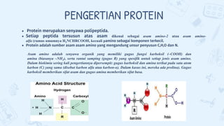 KIMIA_Protein_Cici Awarti_1A.pptx